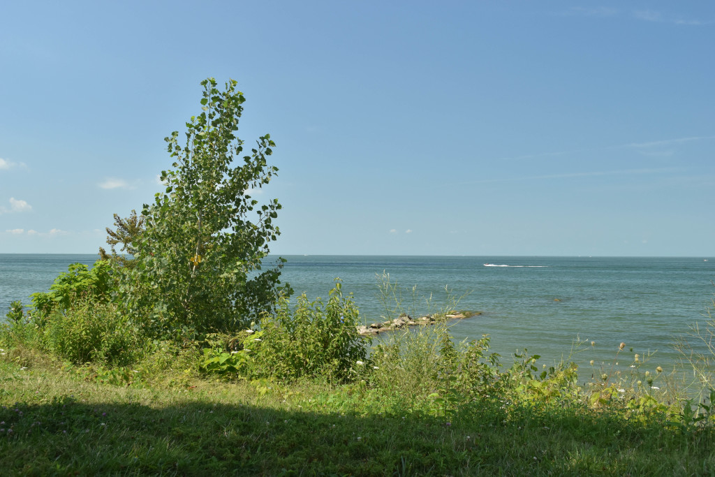 Road Trip Sunday - Sherod Park/Margaritaville's - kathleen howell